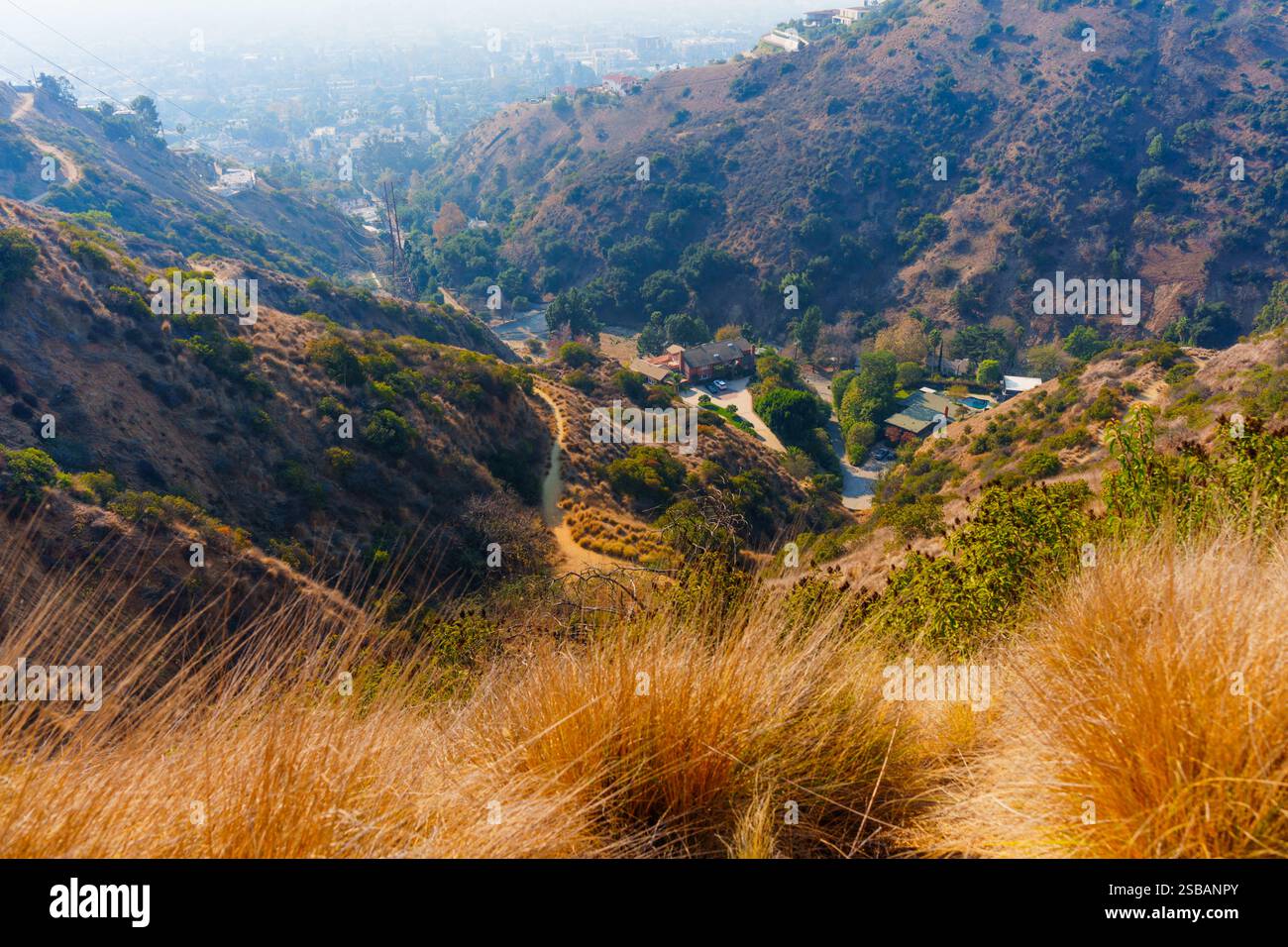 Stunning aerial view of Runyon Canyon, showcasing hillside homes and ...