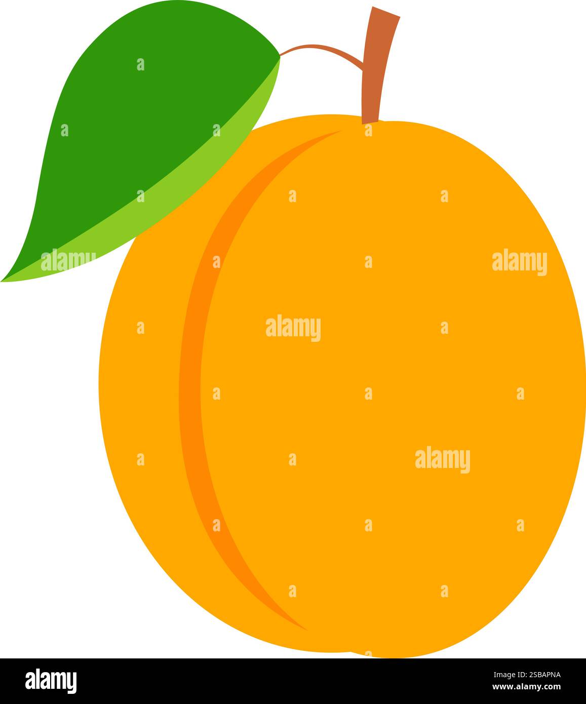 Apricot in cartoon style. Vector illustration with transparent ...