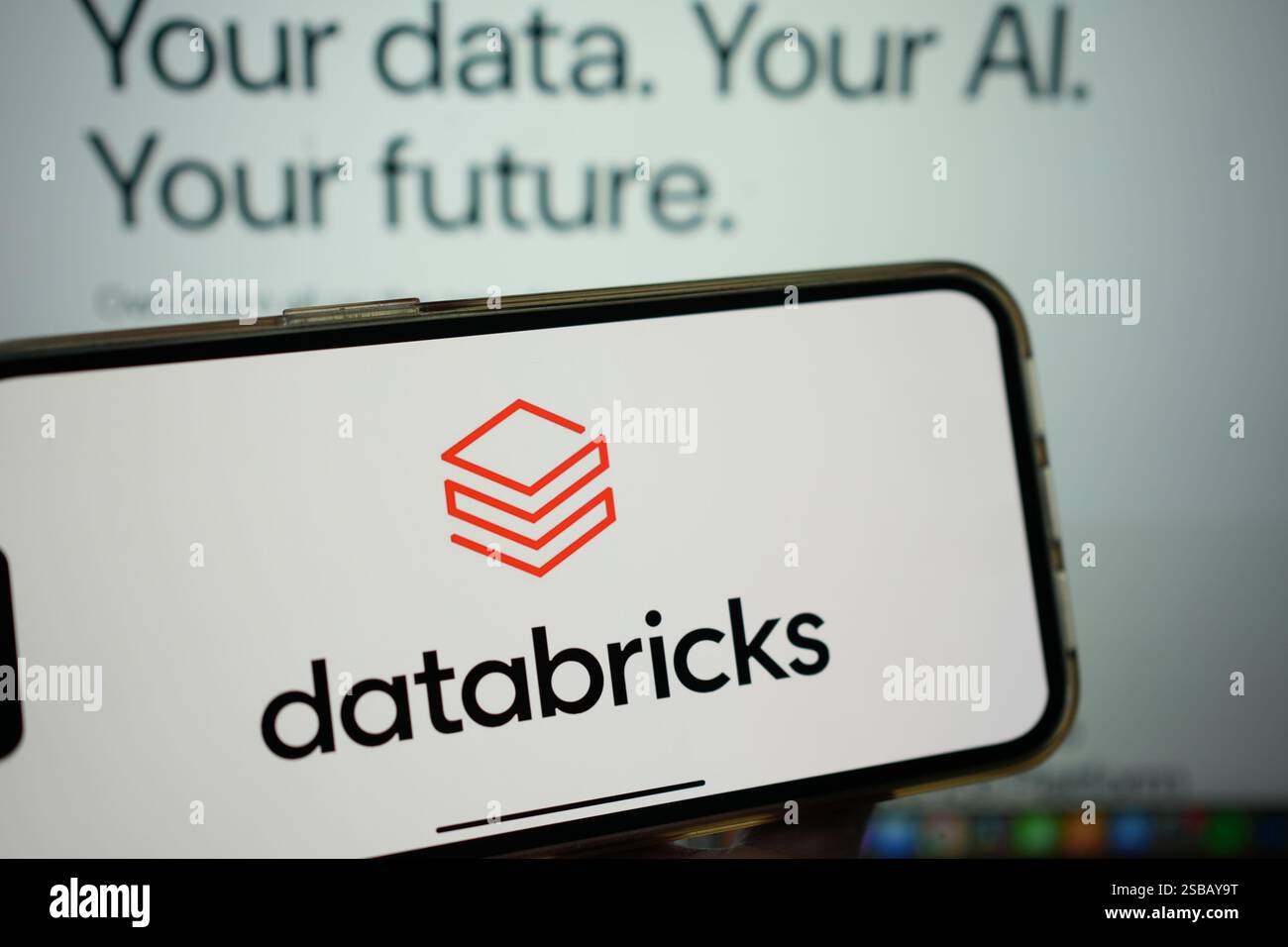 Roosendaal, The Netherlands - February 2, 2025: Person holding mobile phone with logo of the ...