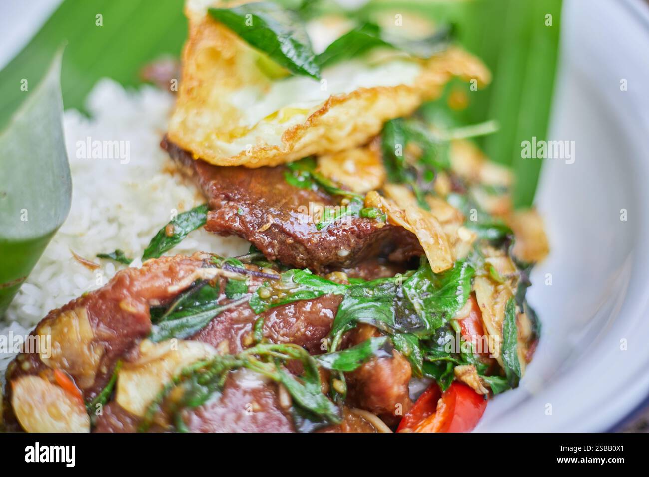 Pad Kra Pao. Thai style holy Basil beef stir fry with fried egg. Thai ...