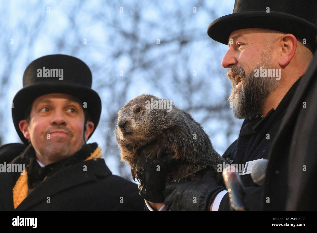 Groundhog Club handler A.J. Dereume holds Punxsutawney Phil, the ...