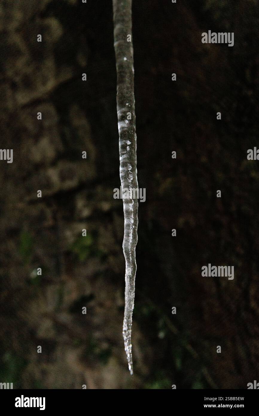 Eton Wick, UK. 12th January, 2025. An icicle is pictured beneath a ...