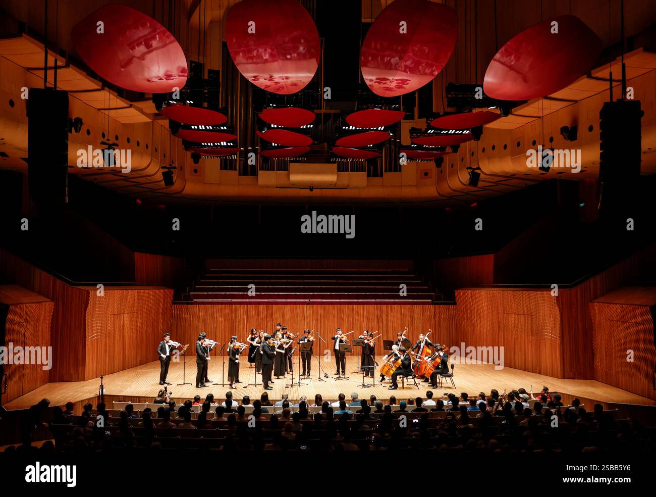 Sydney, Australia. 2nd Feb, 2025. Musicians from Hong Kong String Orchestra perform during a ...