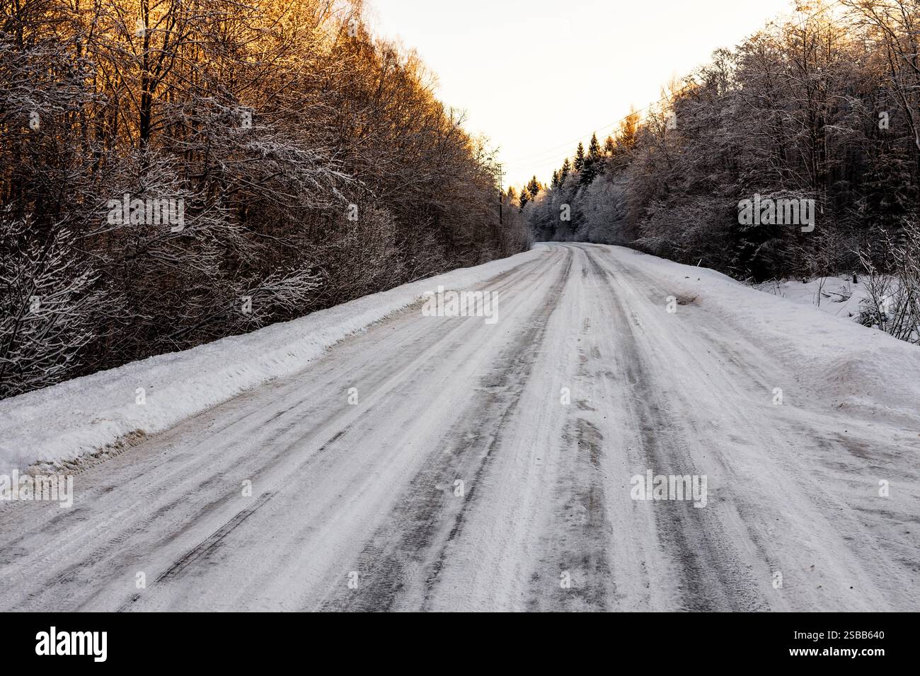 surface of slippery iced road in forest in winter sunset Stock Photo ...