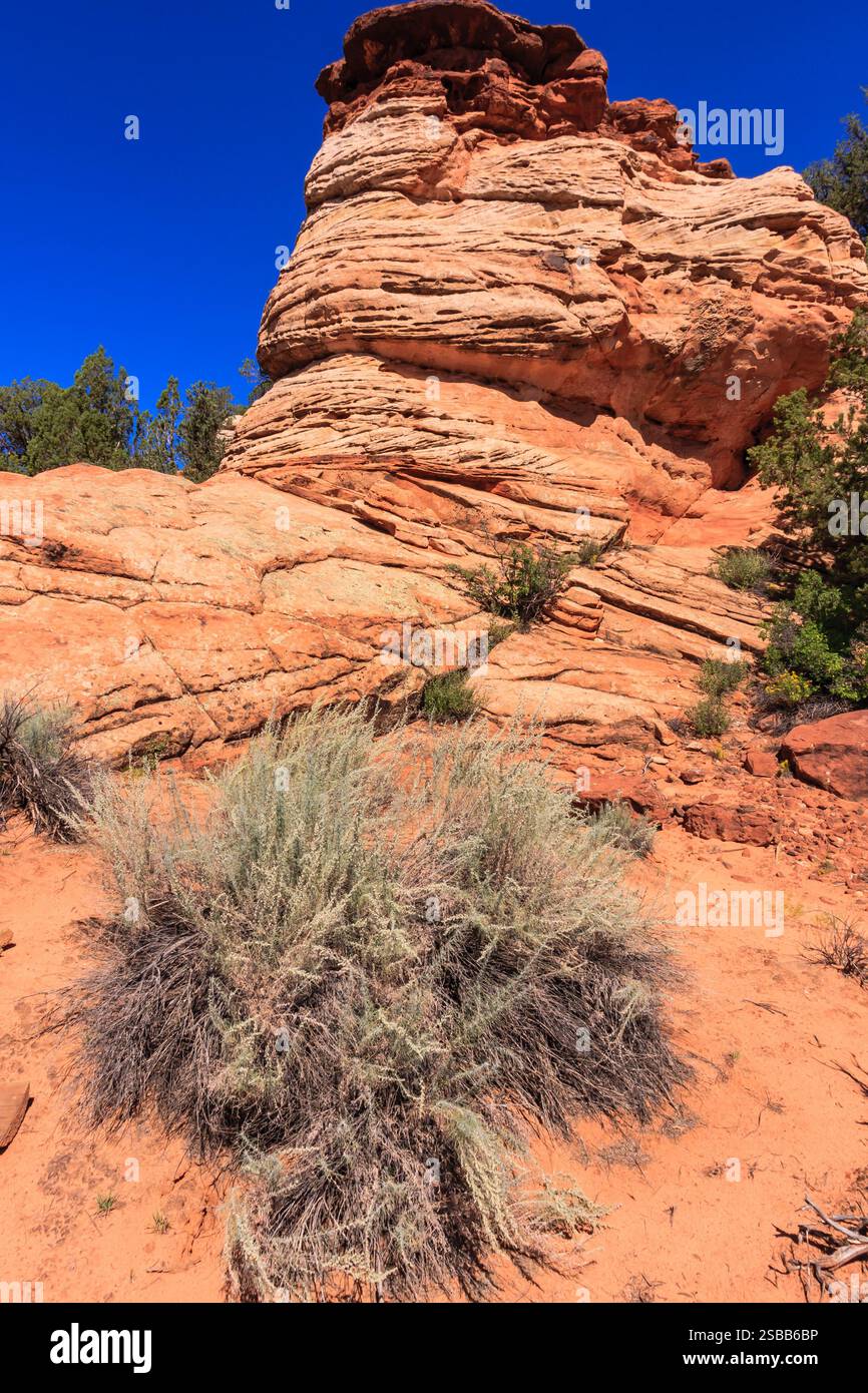 A rock formation with a small plant growing on it. The plant is ...