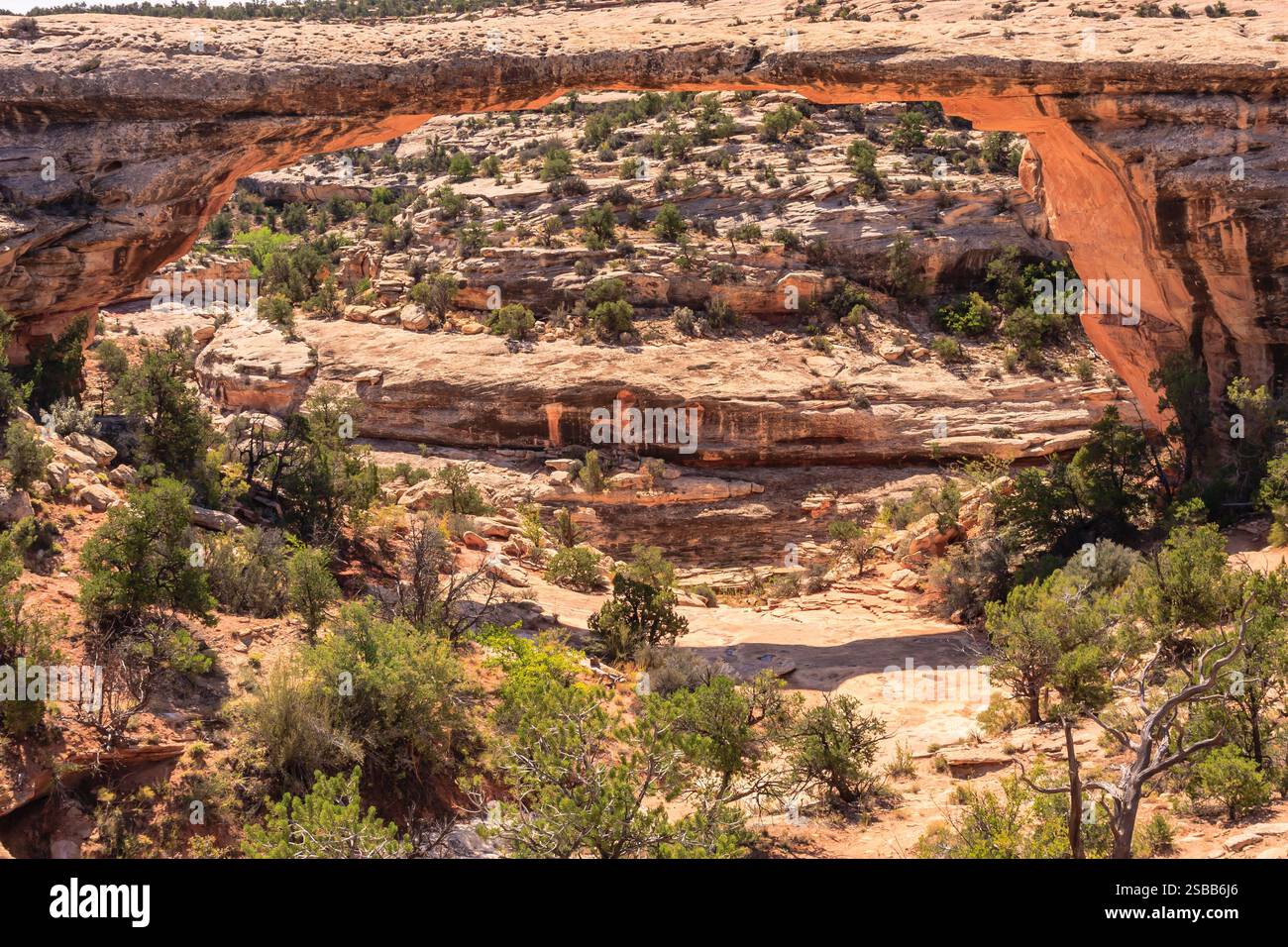 Natural Bridges National Monument is a U.S. National Monument located ...