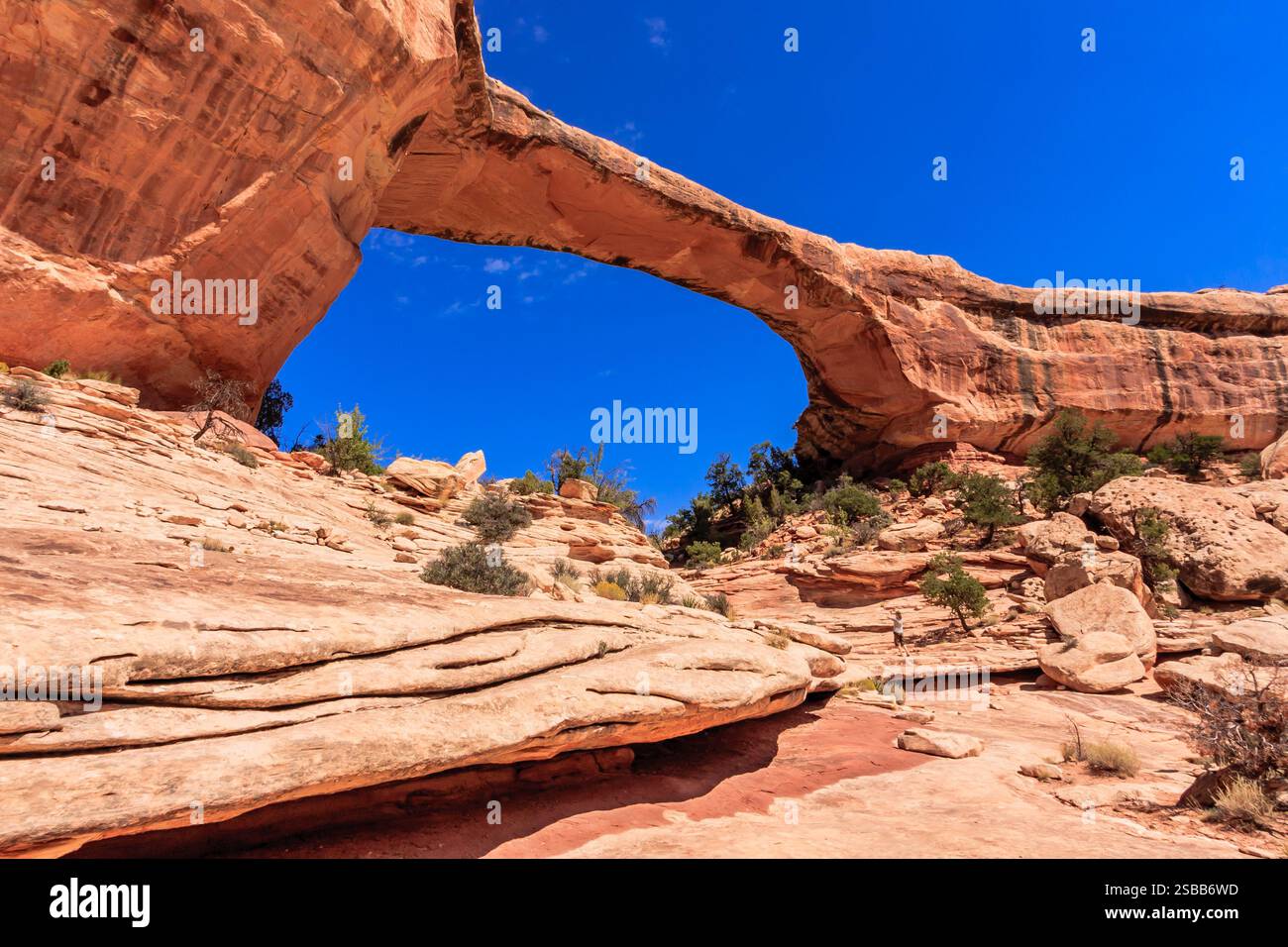 Natural Bridges National Monument is a U.S. National Monument located ...