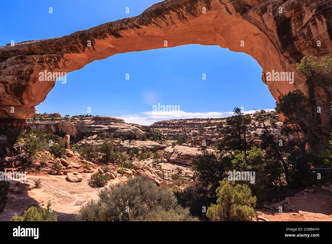 Natural Bridges National Monument is a U.S. National Monument located ...
