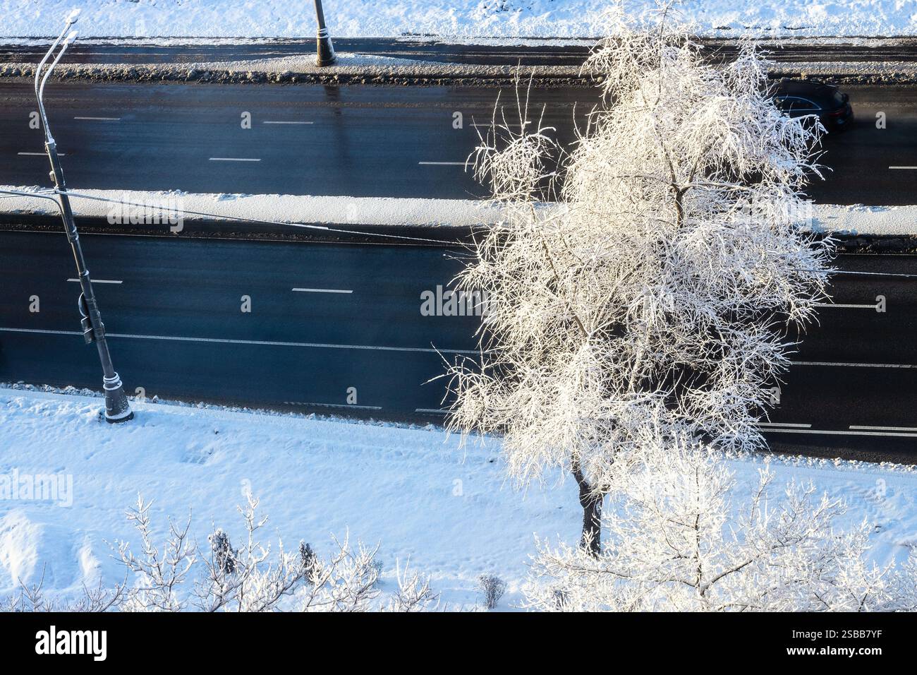 above view of frozen tree illumintated by sun on roadside of wet ...