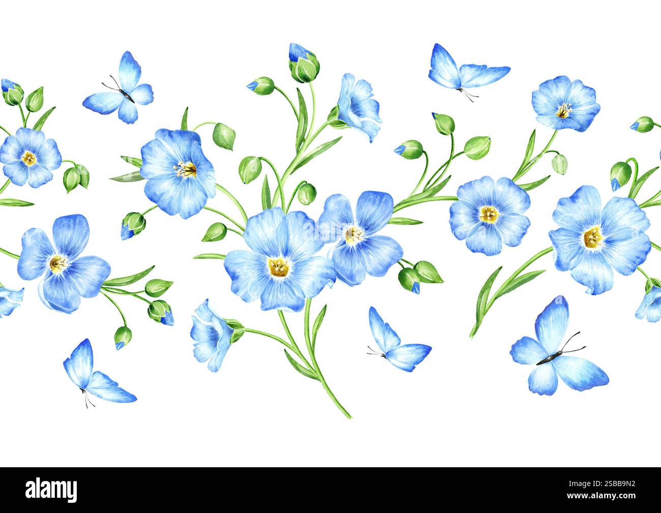Blue Flax flowers seamless border. Watercolor hand drawn illustration ...
