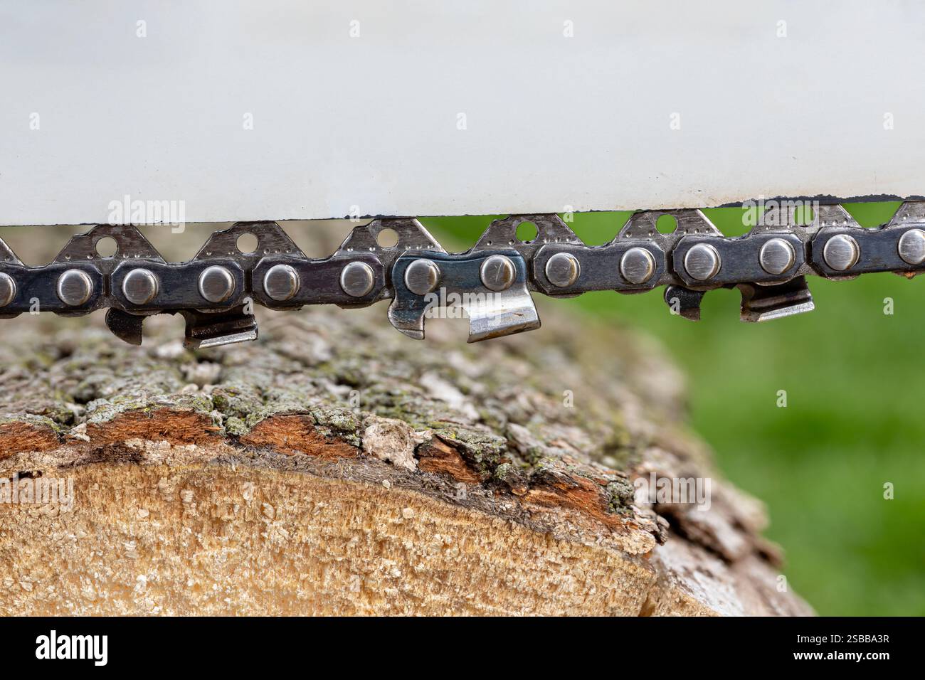 Chainsaw with loose cutting chain. Chainsaw and lawn equipment repair ...