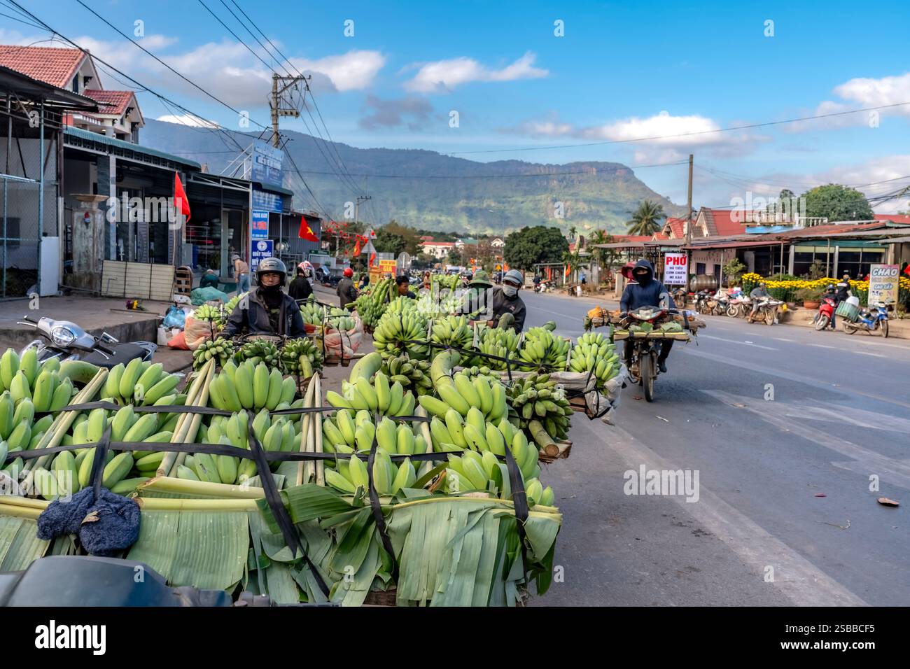 Tan Long banana market-Quang Tri province, Vietnam - January 27, 2025 ...