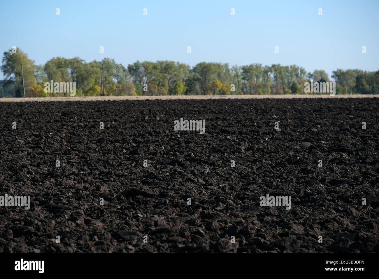 Rich black soil stretches across a vibrant landscape under a clear blue ...