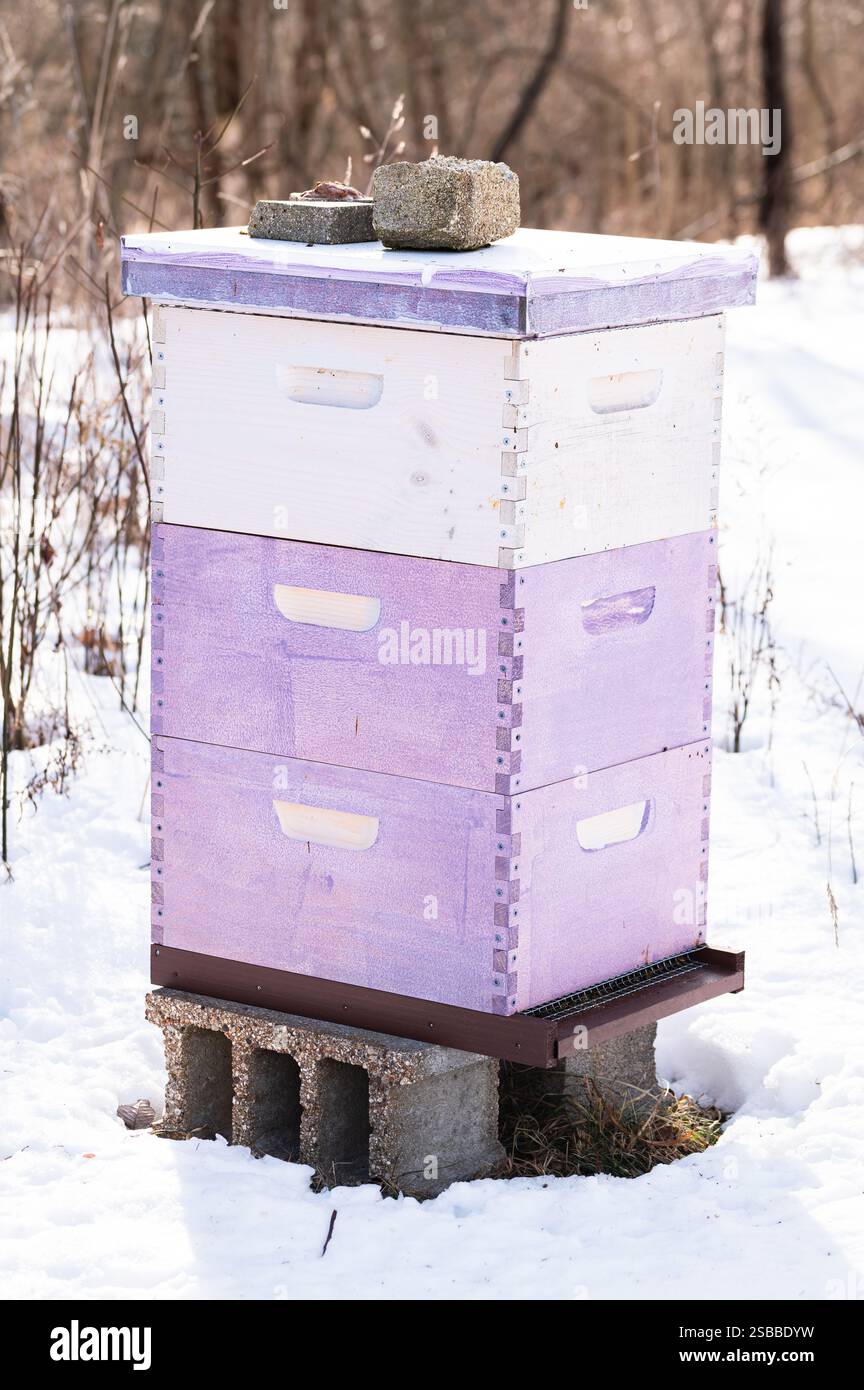 Hive boxes hi-res stock photography and images - Alamy