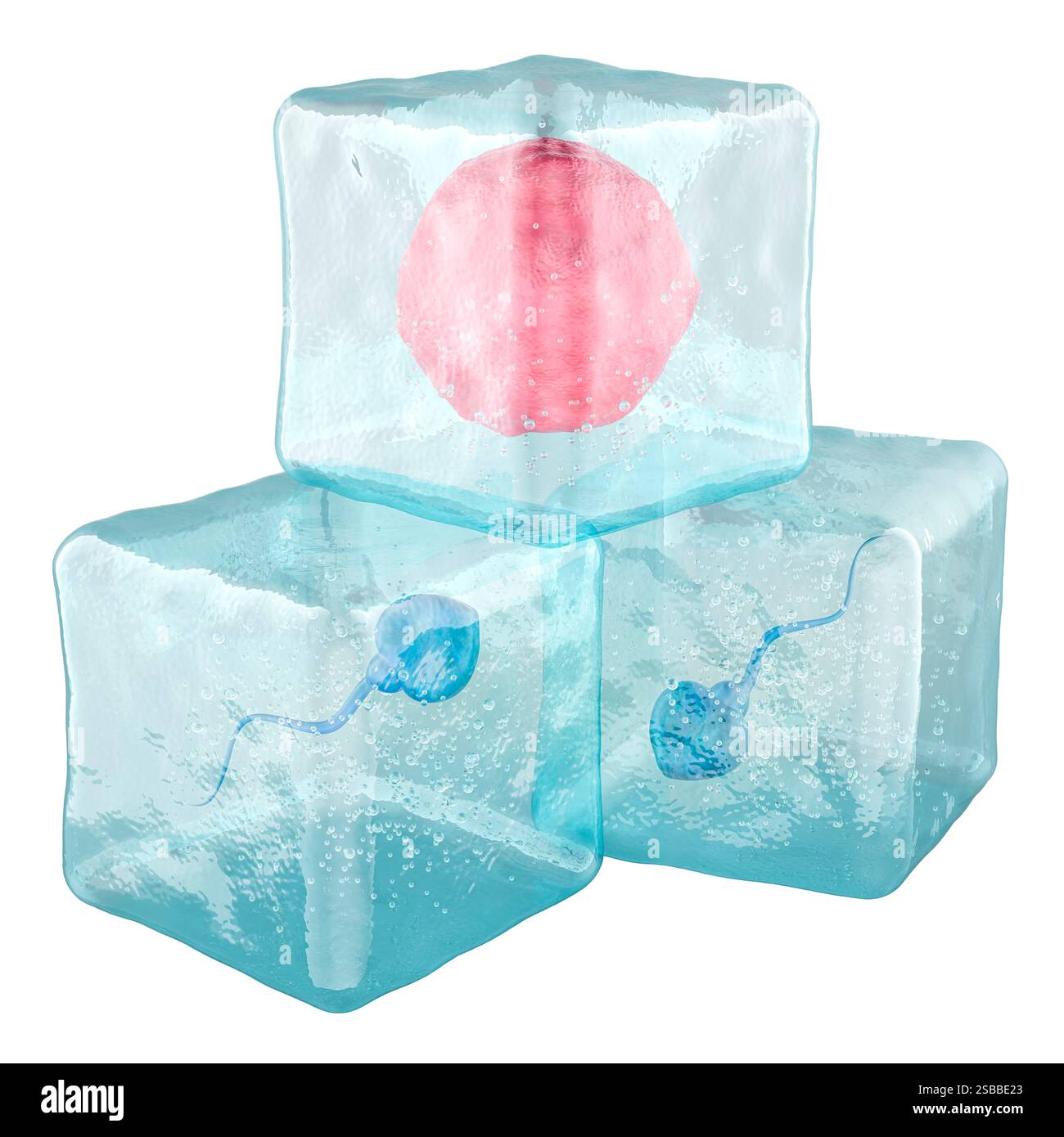 Egg, Sperm and Embryo Freezing or Cryopreservation concept. Egg cell ...