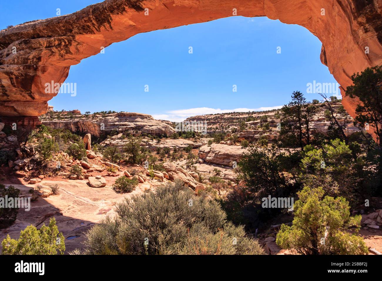 Natural Bridges National Monument is a U.S. National Monument located ...