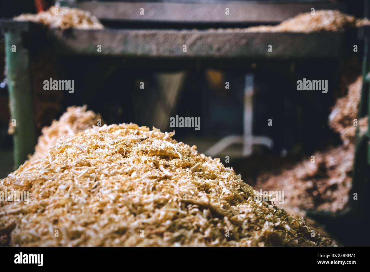Wood shavings on planer Stock Photo - Alamy