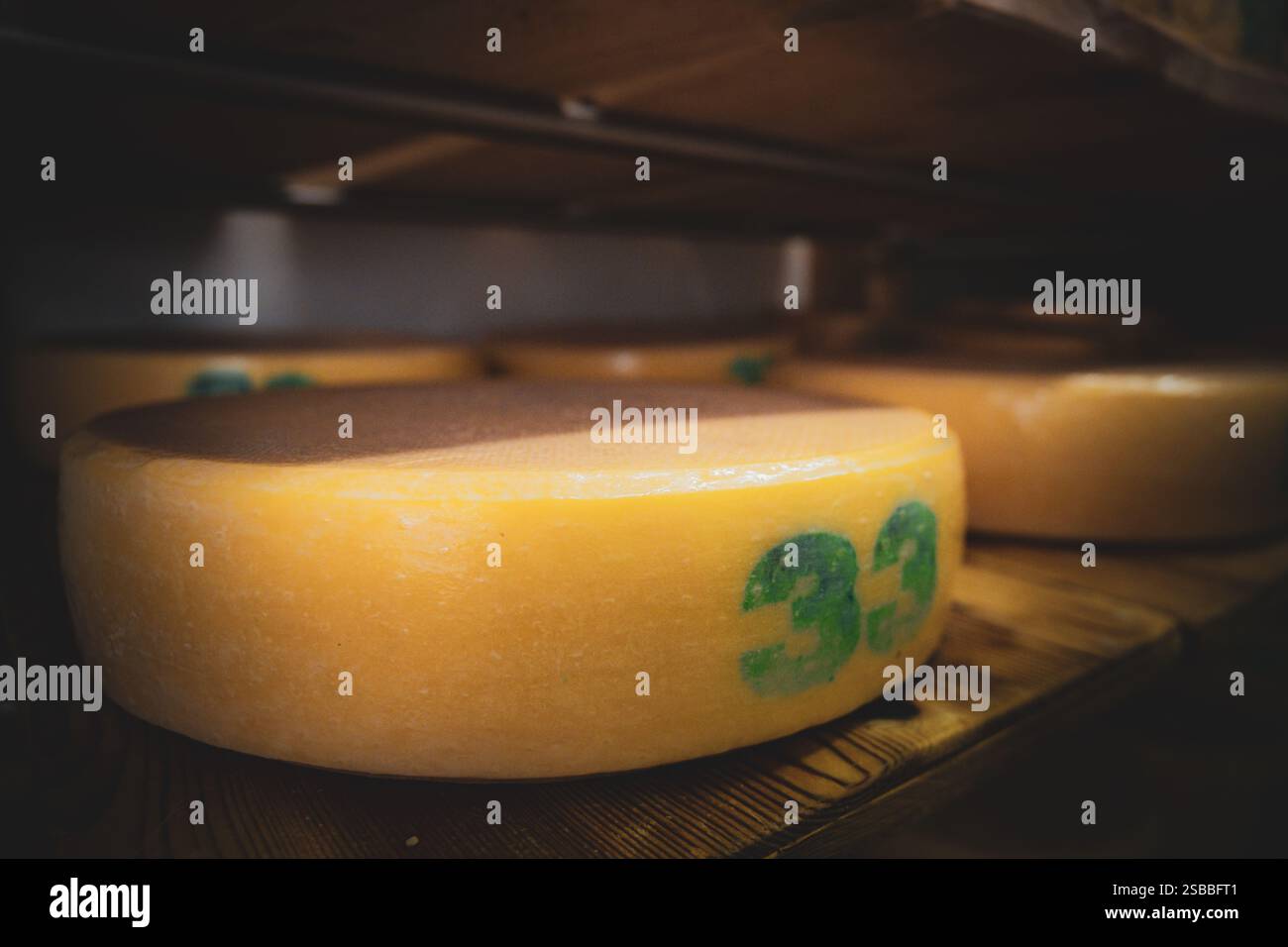 Storing a wheel of cheese in the maturing cellar Stock Photo - Alamy