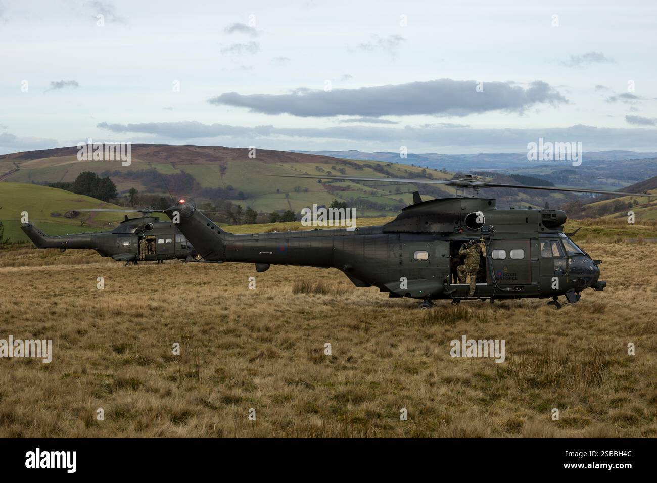 Puma helicopters under callsign KUKRI training on SENTA Stock Photo - Alamy