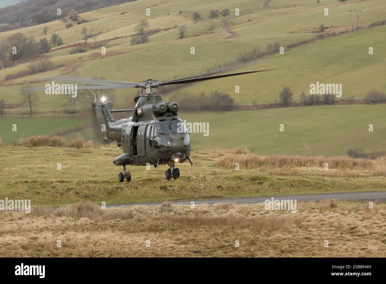 Puma helicopters under callsign KUKRI training on SENTA Stock Photo - Alamy