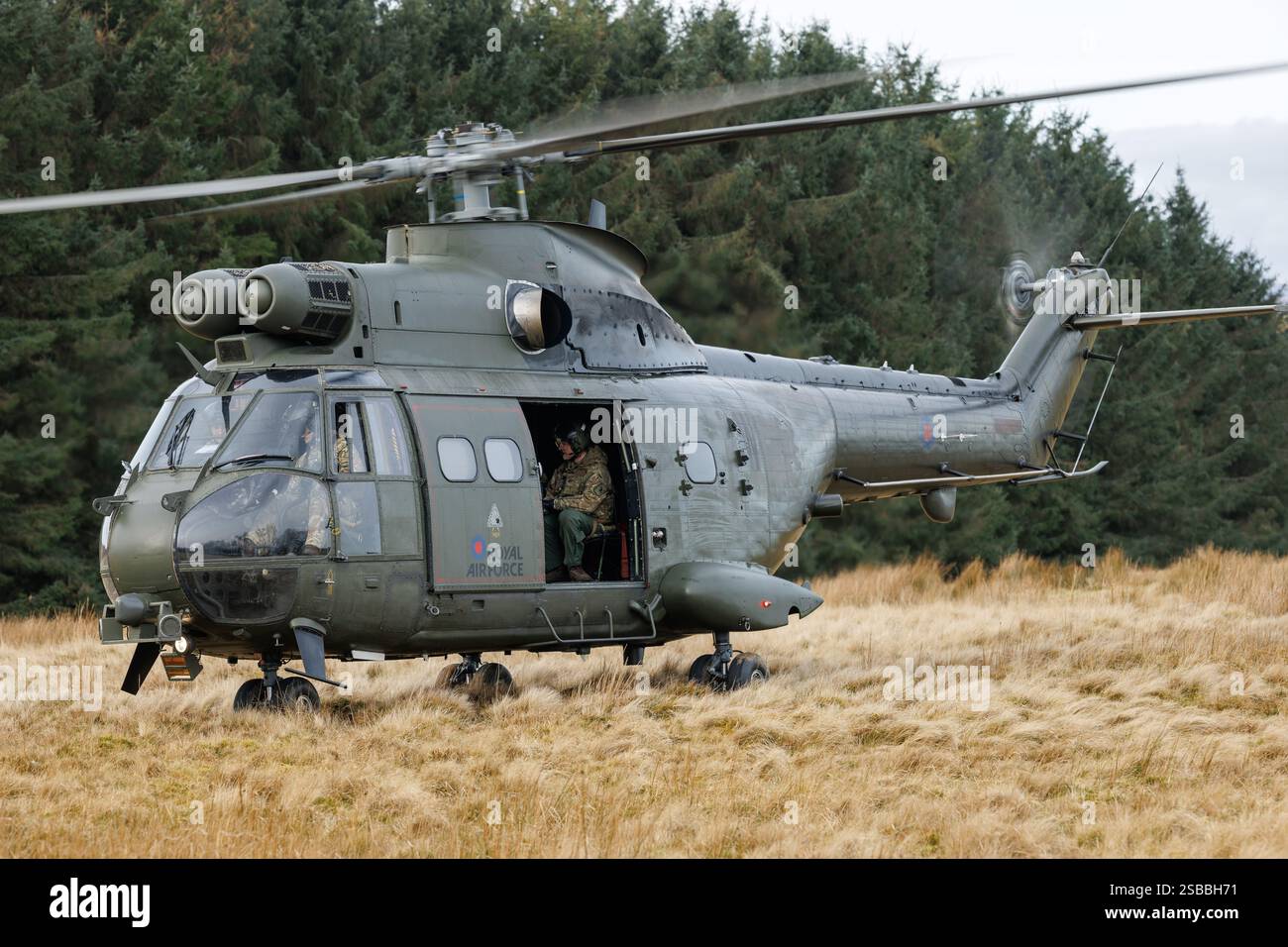 Puma helicopters under callsign KUKRI training on SENTA Stock Photo - Alamy