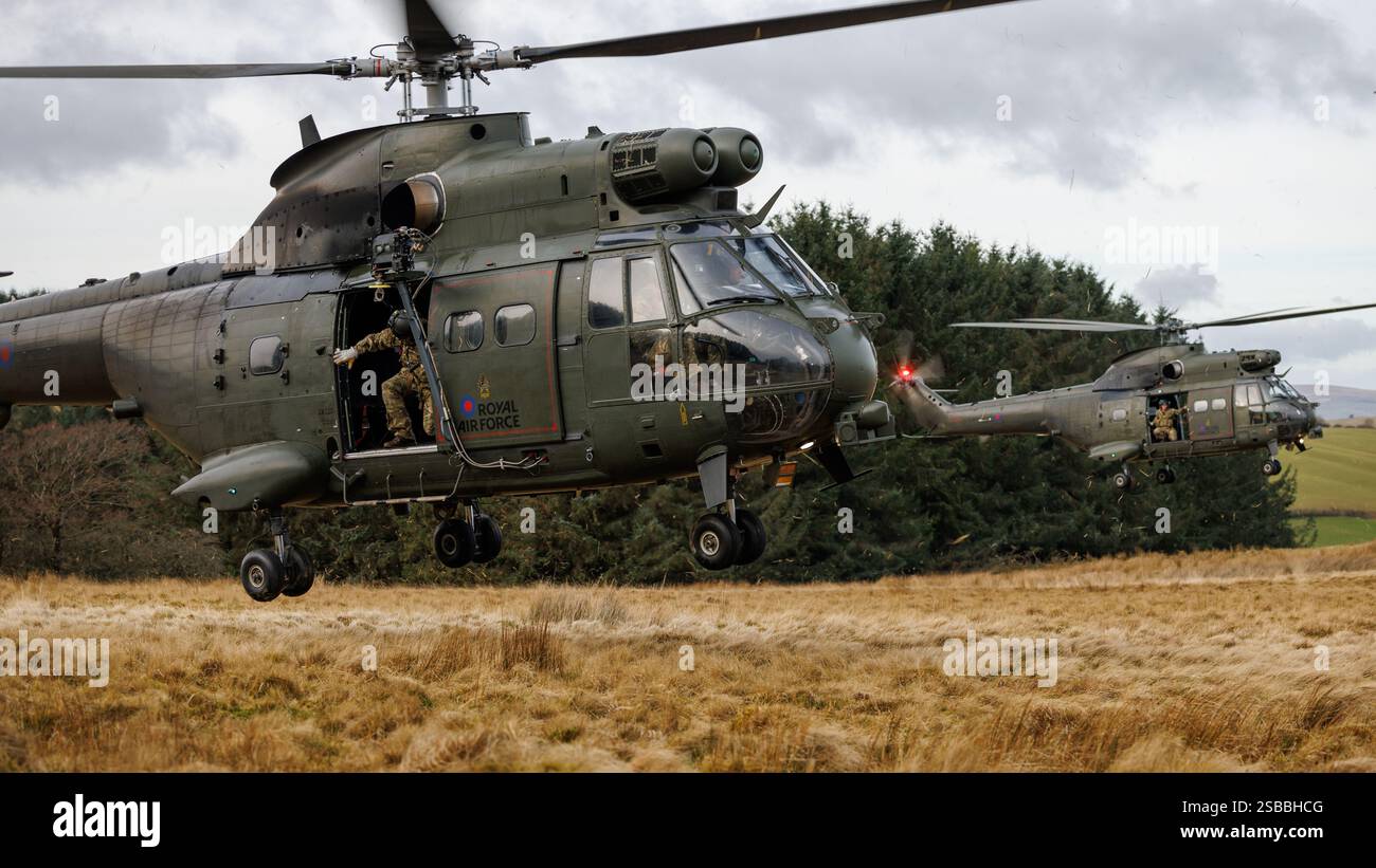 Puma helicopters under callsign KUKRI training on SENTA Stock Photo - Alamy