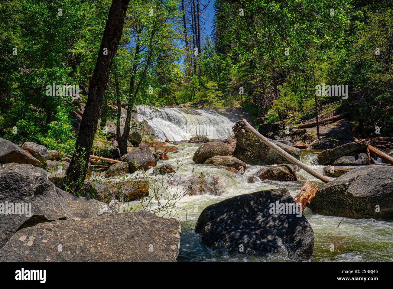 The south fork of the Tuolumne River feeds Carlon Falls, cascading over ...