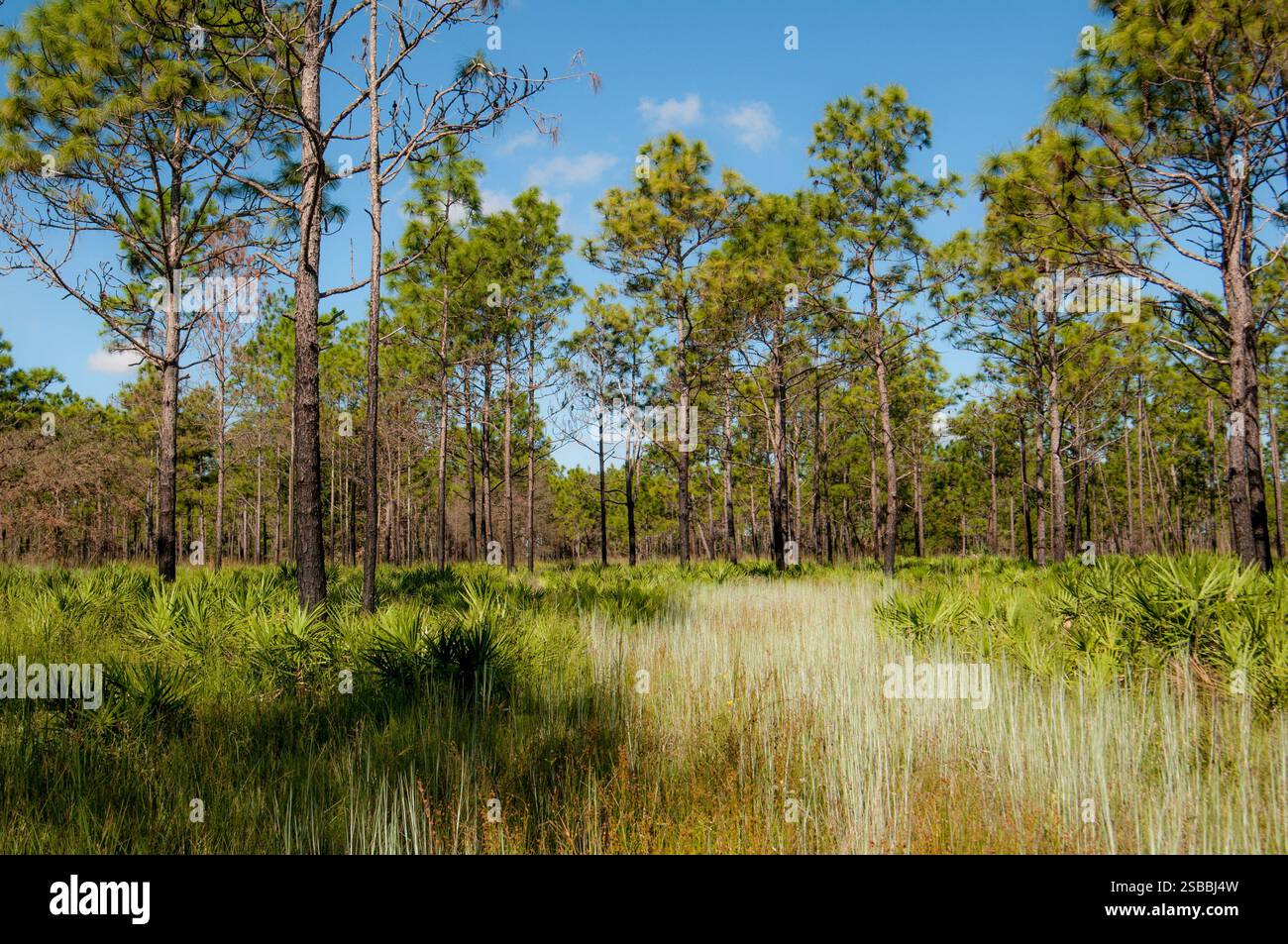 Triple creek preserve hi-res stock photography and images - Alamy