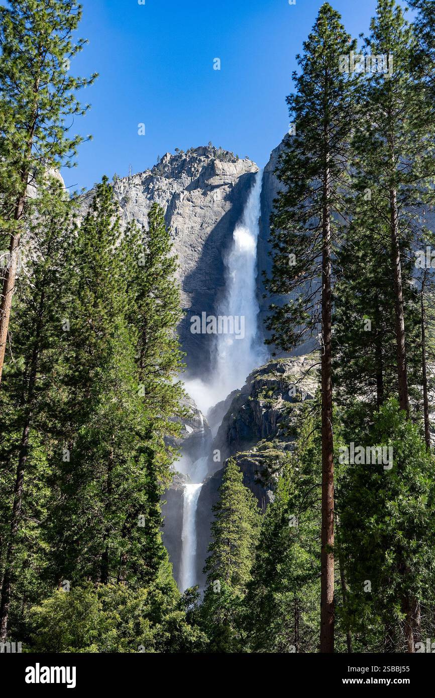 June 2023, a breathtaking view of upper and lower Yosemite Falls framed ...