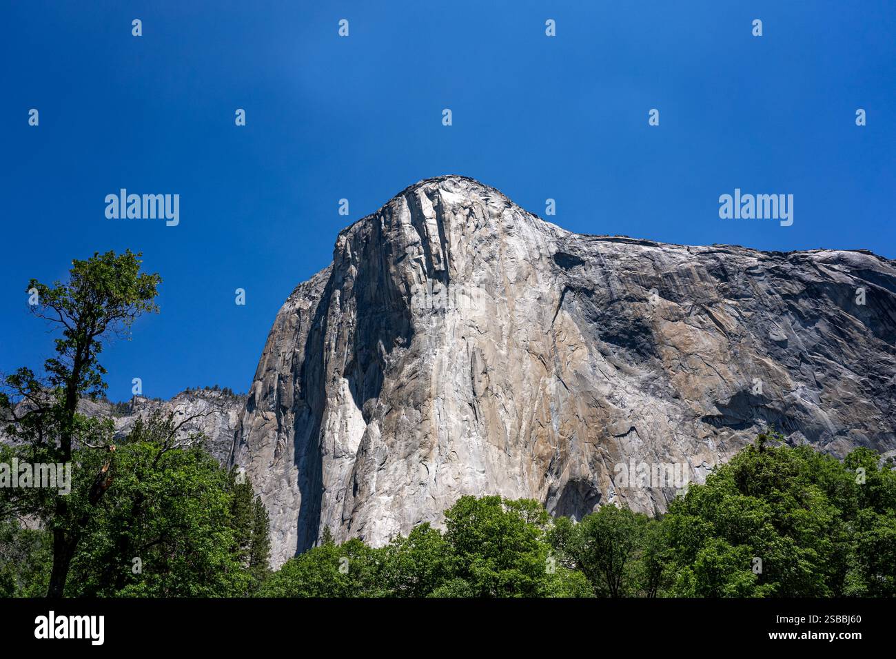 A view of El Capitan from the northwest meadow of Yosemite Valley. It's ...