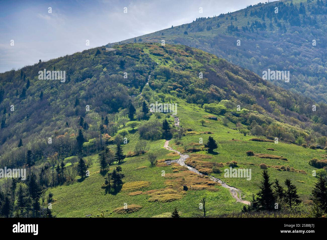 A view of the Appalachian Trail from atop Round Bald. The trail ...