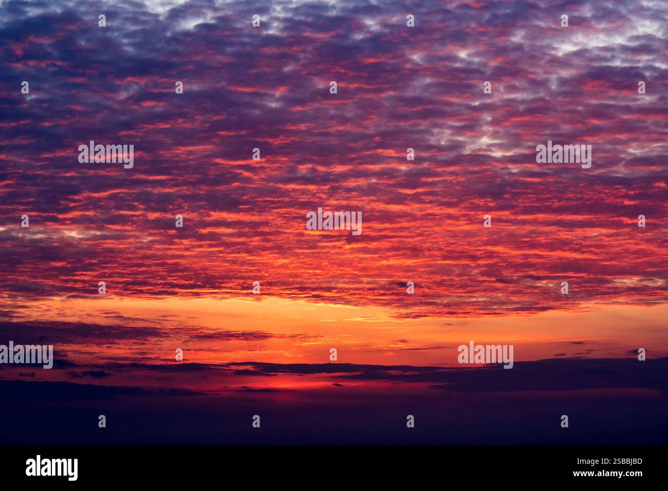Mackerel Sky sunset Stock Photo - Alamy