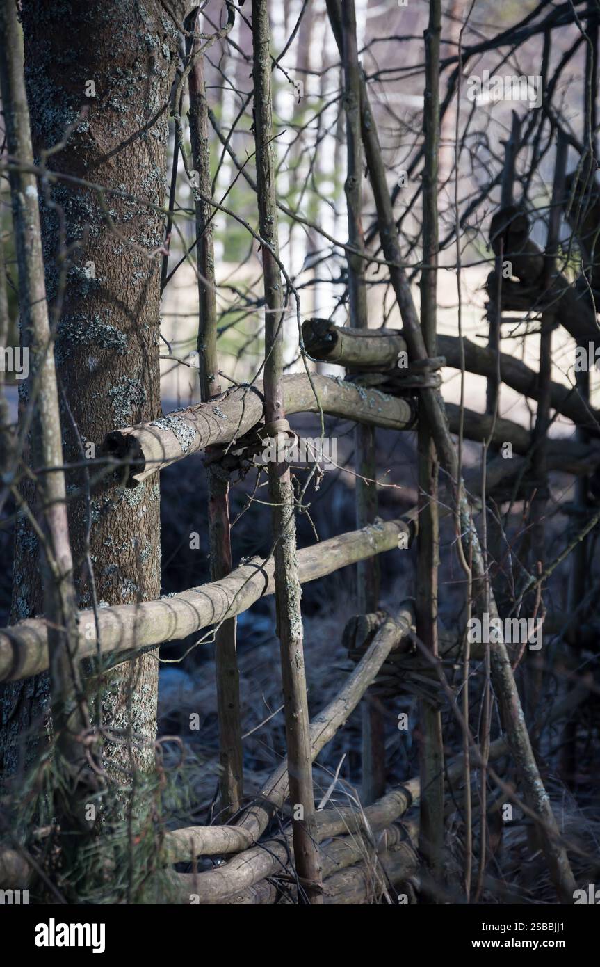Old-fashioned traditional wooden fence in the forest Stock Photo - Alamy