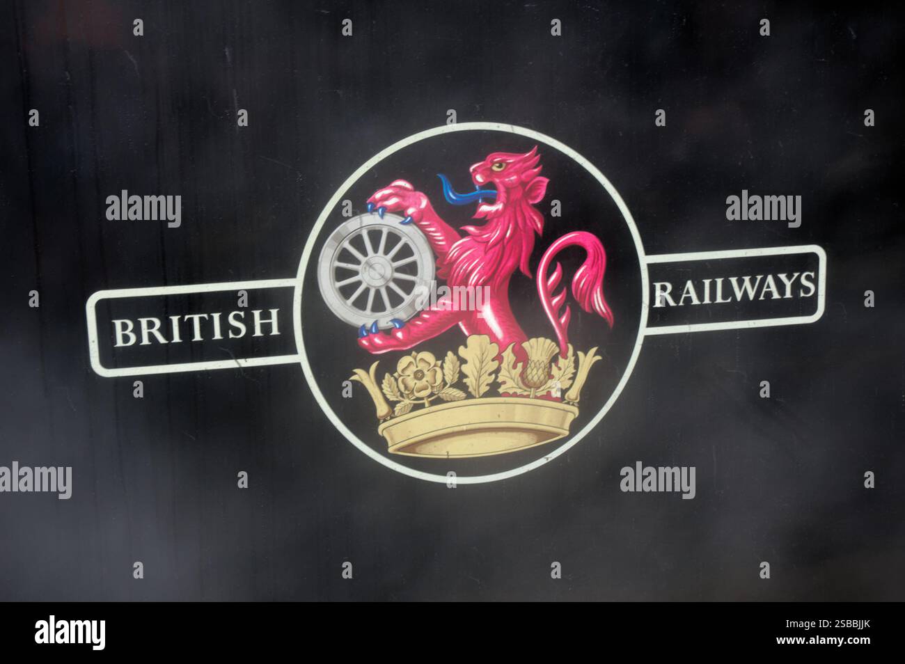 British Railways black livery on former LNER class B1 steam locomotive ...