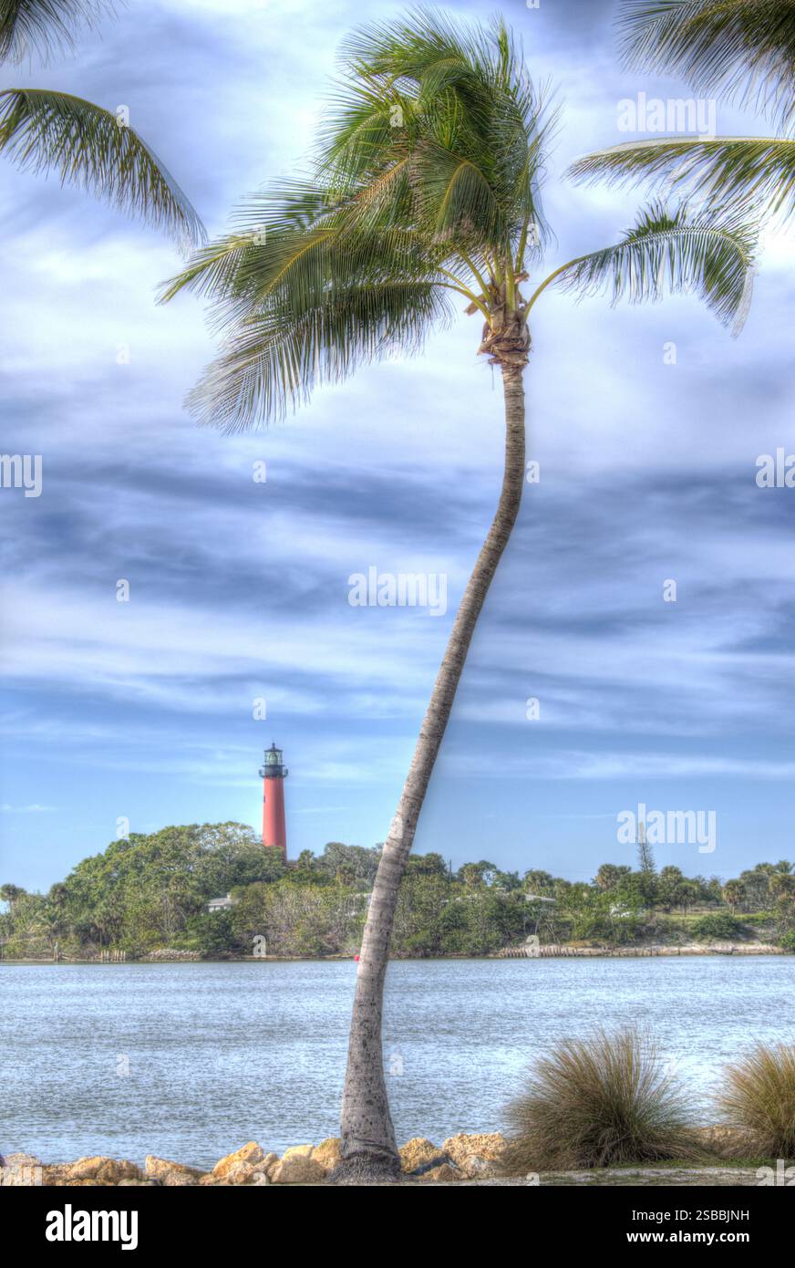 Jupiter Lighthouse with Palm Tree in Foreground Stock Photo - Alamy