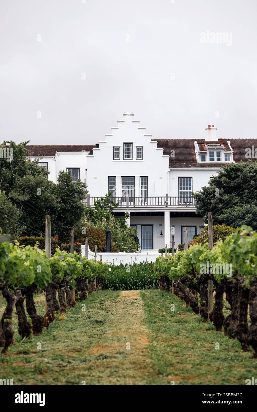 Small local winery in South Africa. White manor house, traditional ...