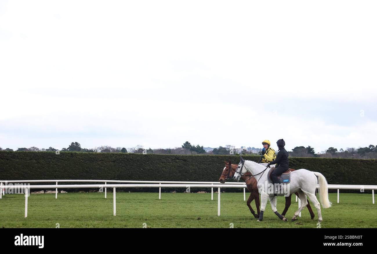 State man leopardstown 2025 hi-res stock photography and images - Alamy