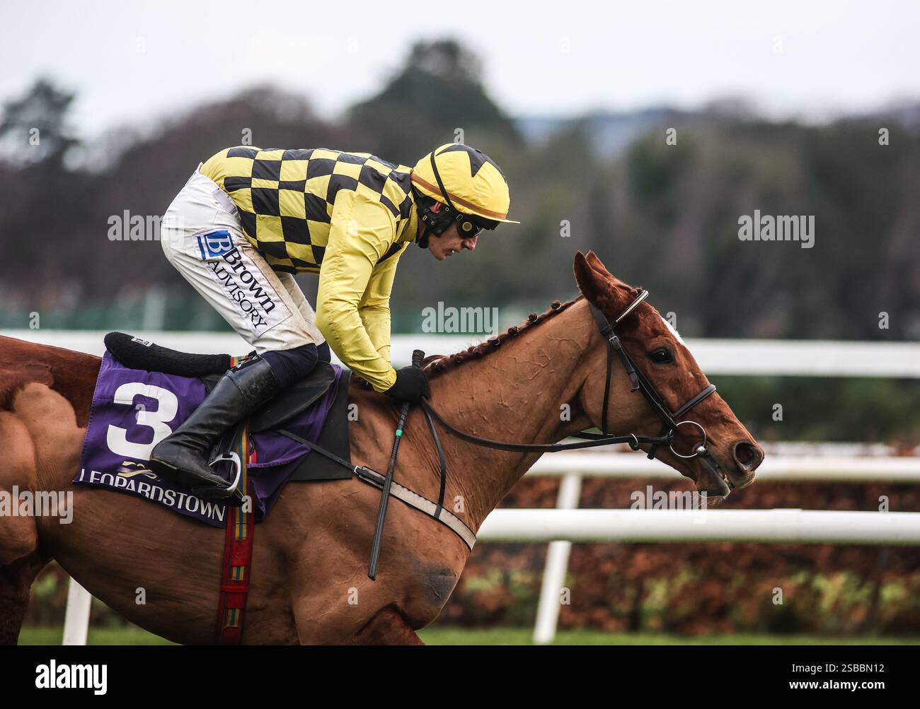 State Man Ridden by jockey Paul Townend on the way to winning the Irish ...