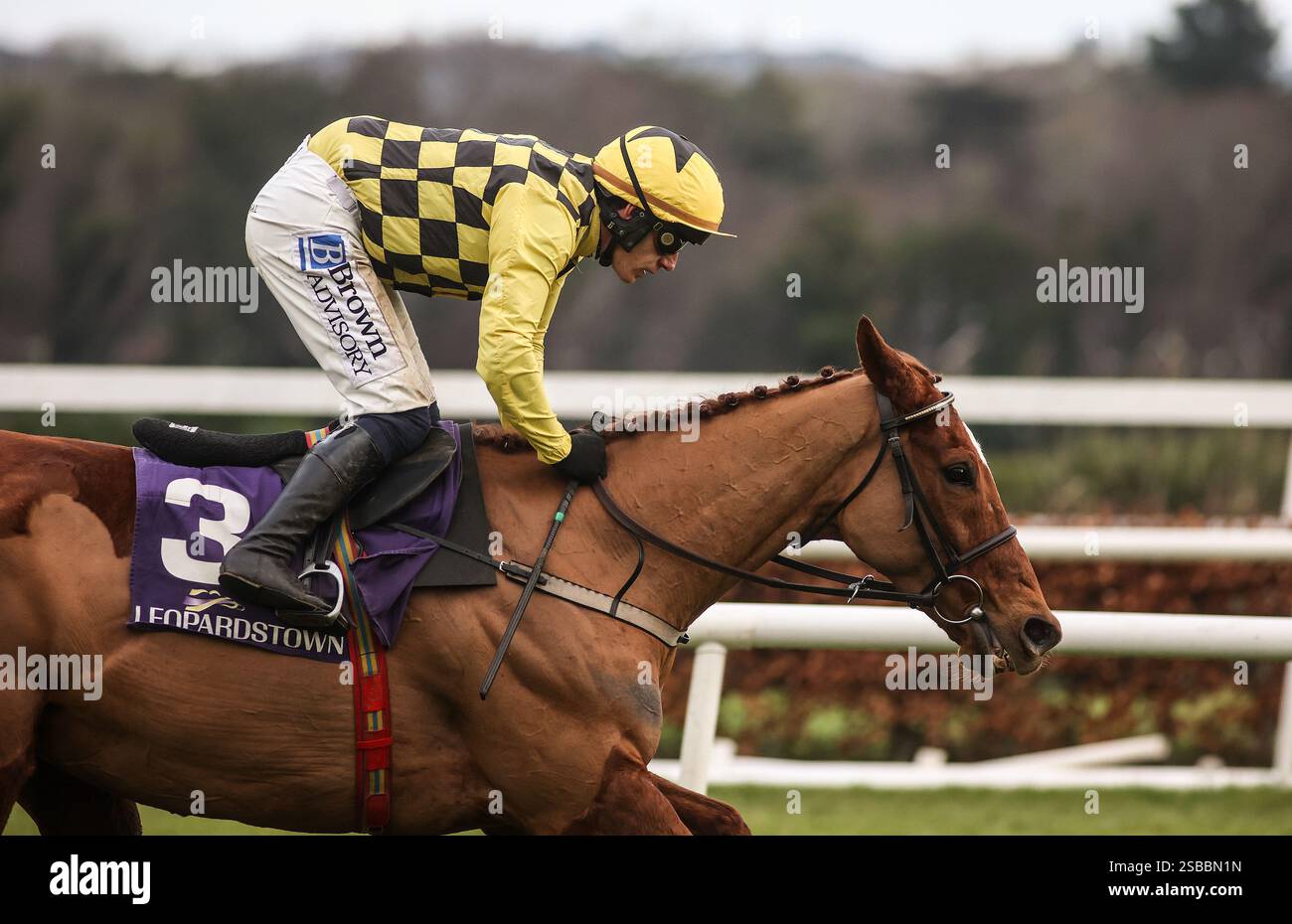 State Man Ridden by jockey Paul Townend on the way to winning the Irish ...