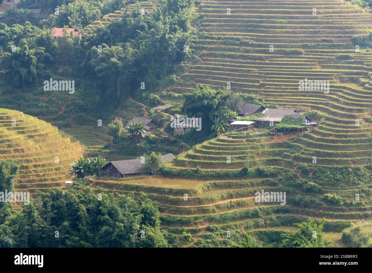 Rice terrace development hi-res stock photography and images - Alamy