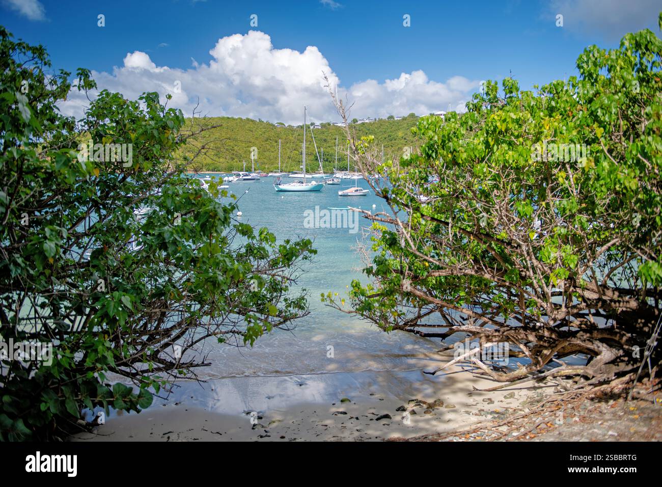 CRUZ BAY, US Virgin Islands — Gallows Cove forms a natural inlet along ...