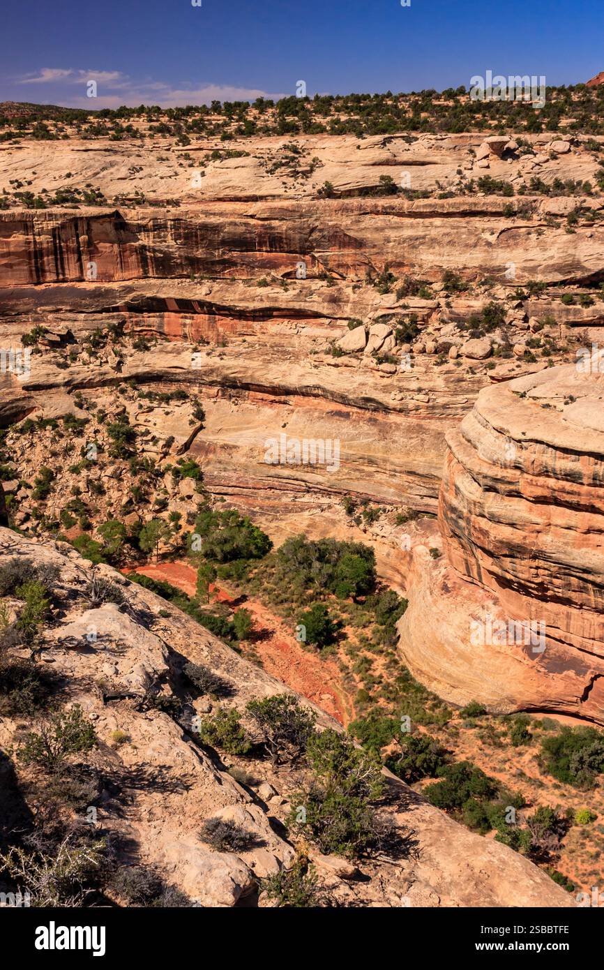 A rocky canyon with a river running through it. The canyon is full of ...