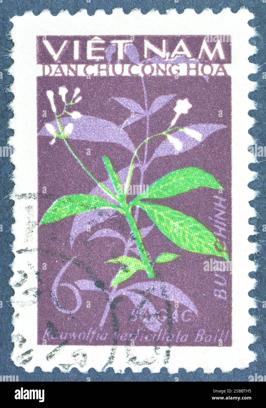 Cancelled postage stamp printed by Vietnam, that shows Rauvolfia ...