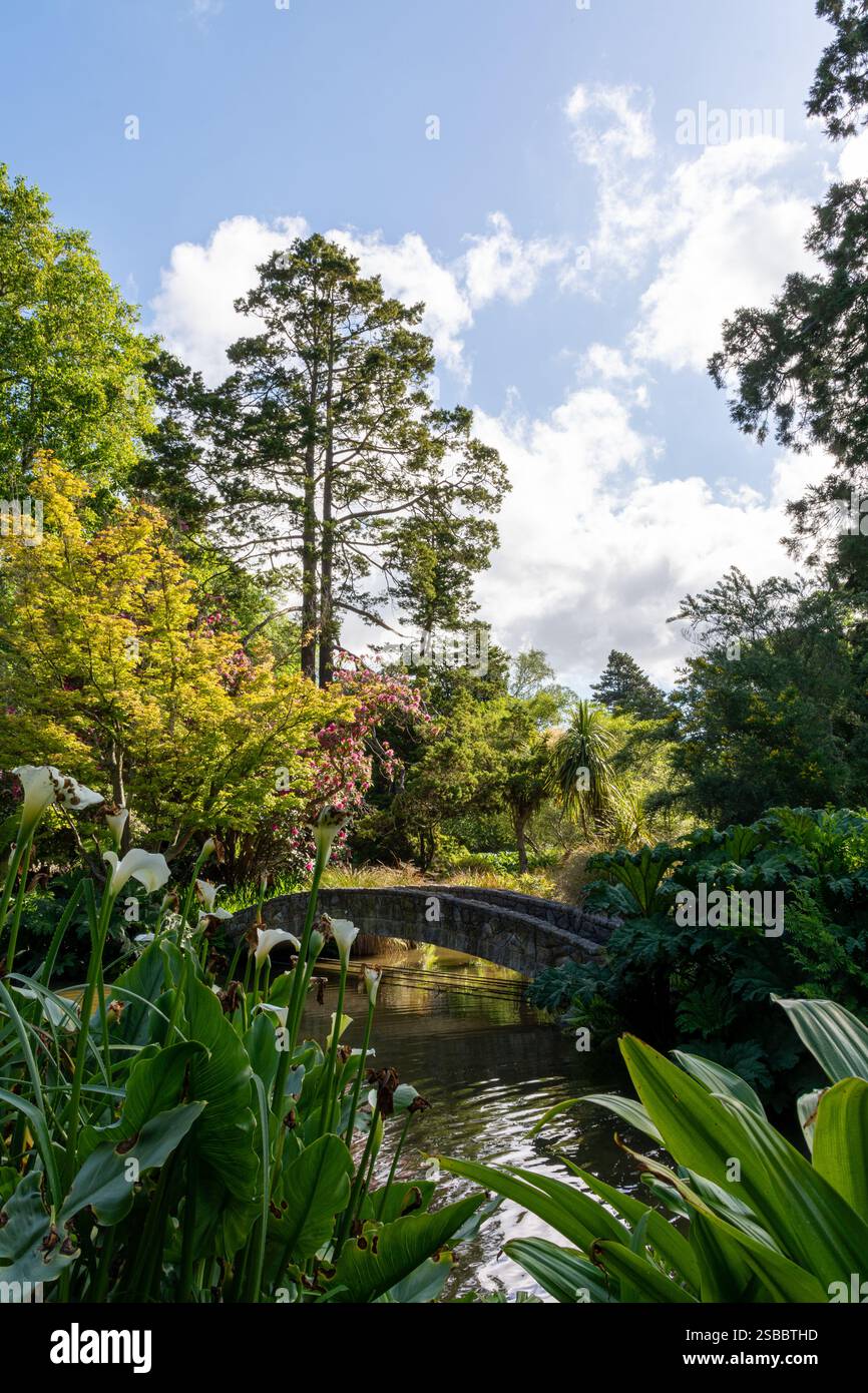 Pond and stone bridge in the Christchurch Botanic Gardens Stock Photo ...