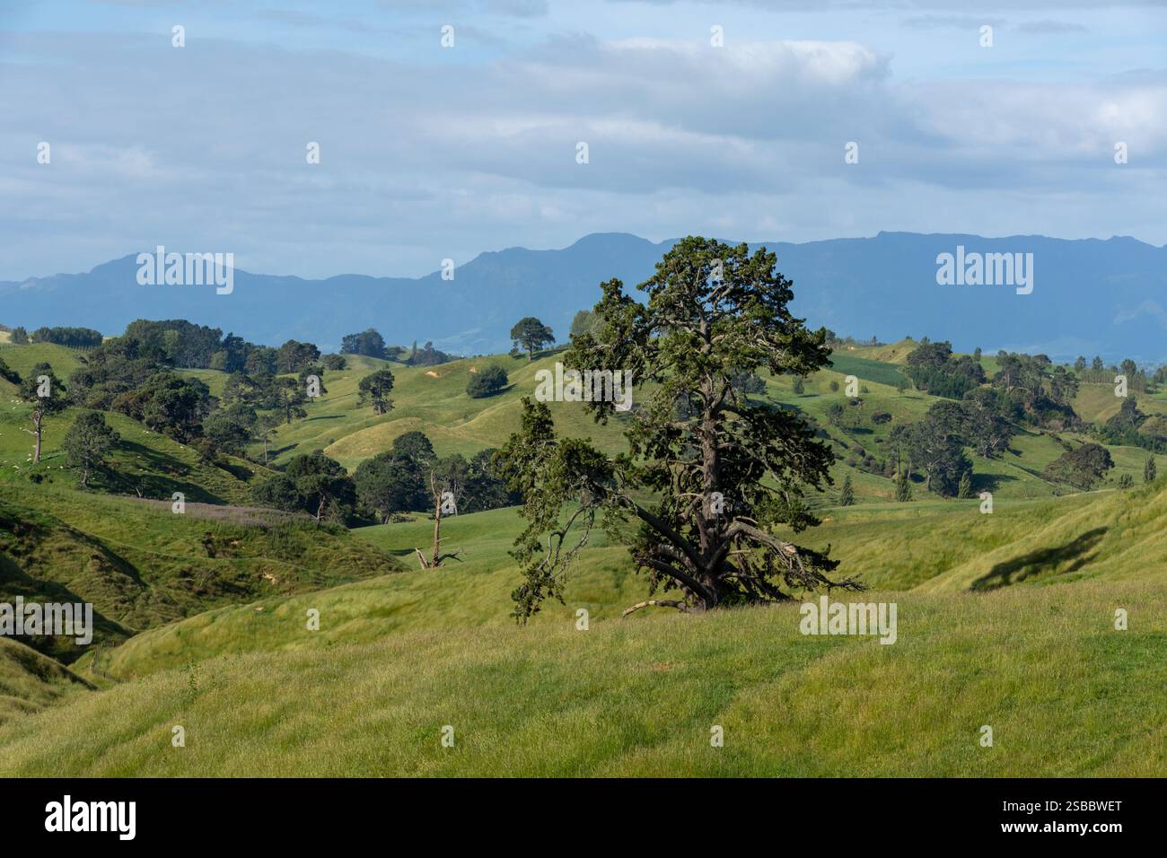 Wide landscape rolling hills hi-res stock photography and images - Alamy