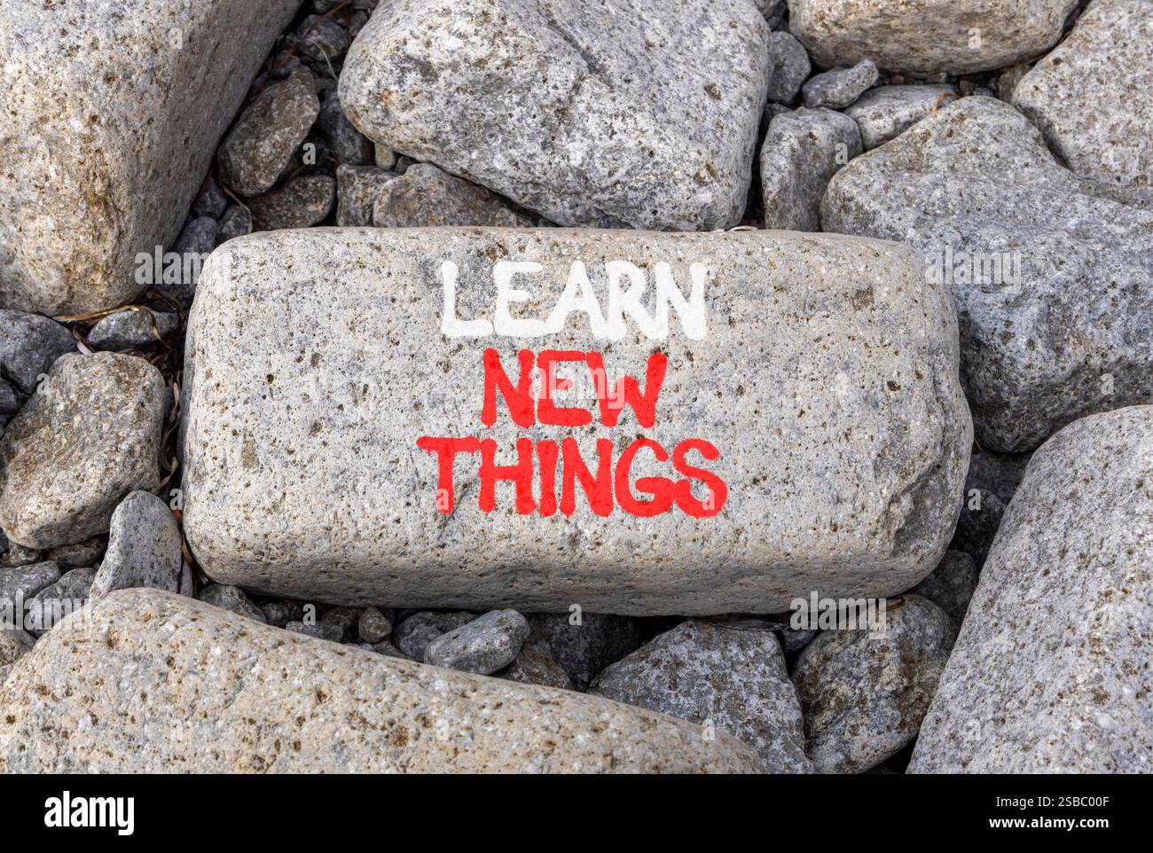 Learn new things symbol. Concept words Learn new things on beautiful ...