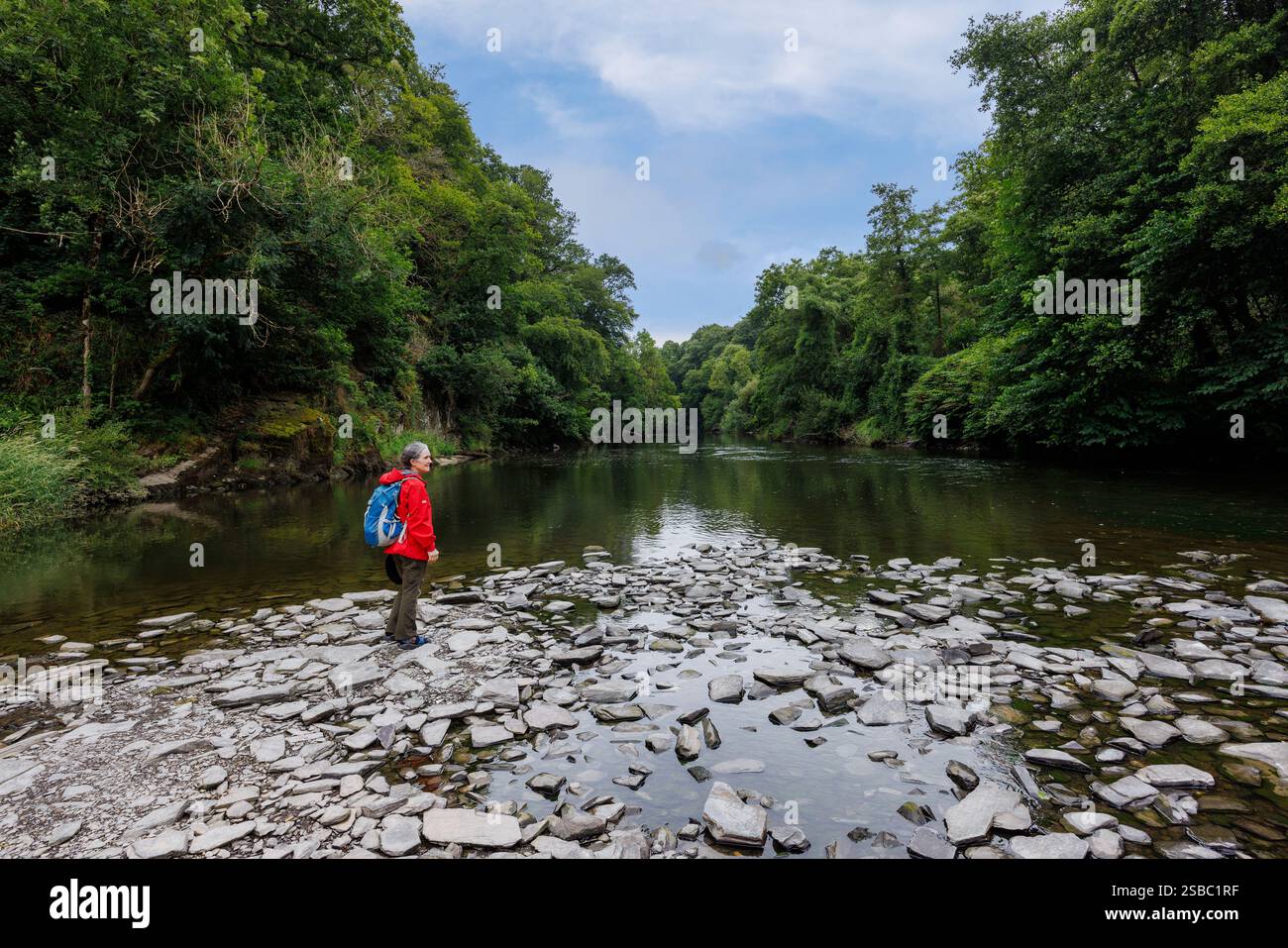 River Teifi at Cilgerran, Wales, UK Stock Photo - Alamy