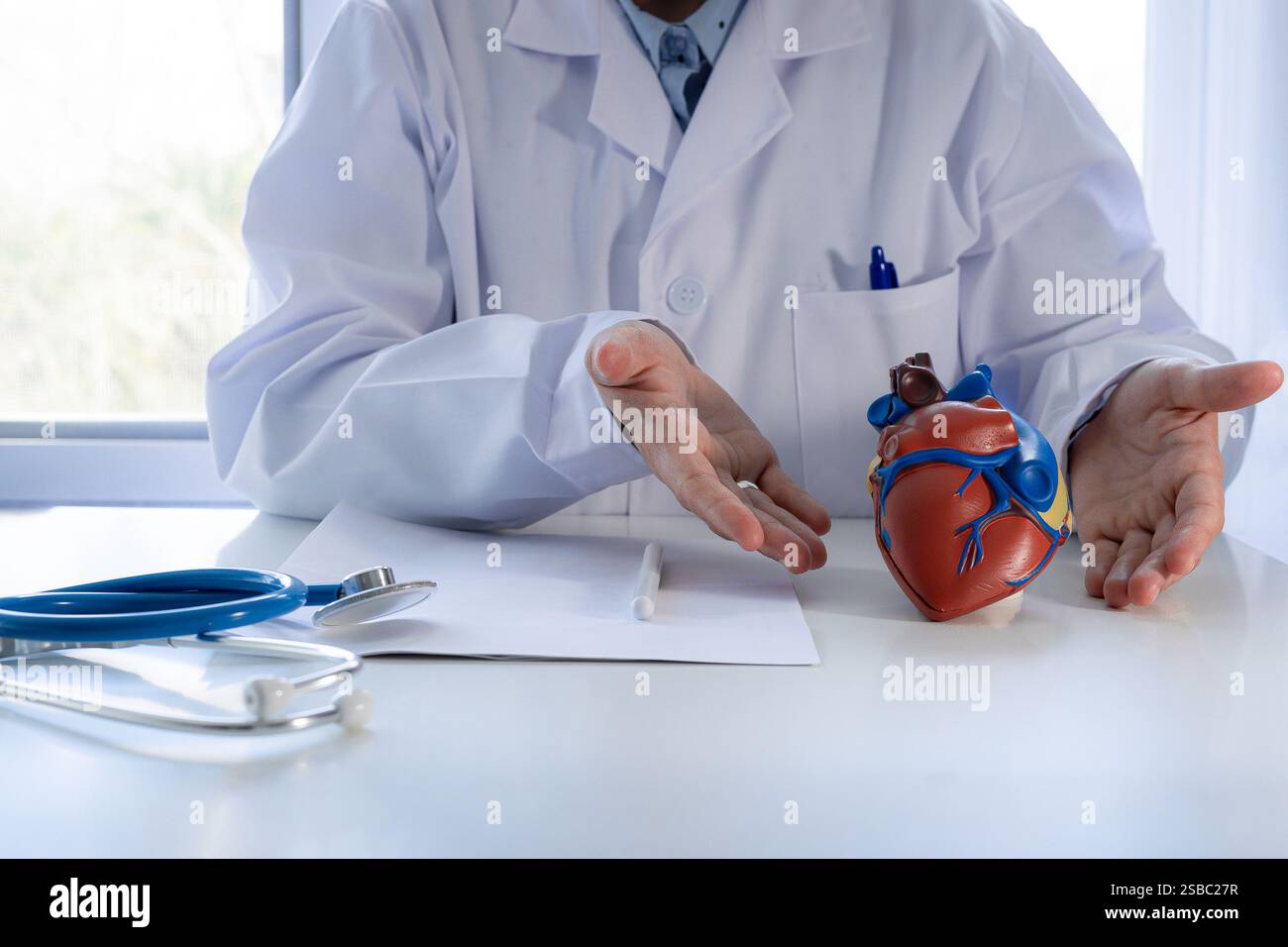 Cardiologist demonstrates anatomical heart model hi-res stock ...