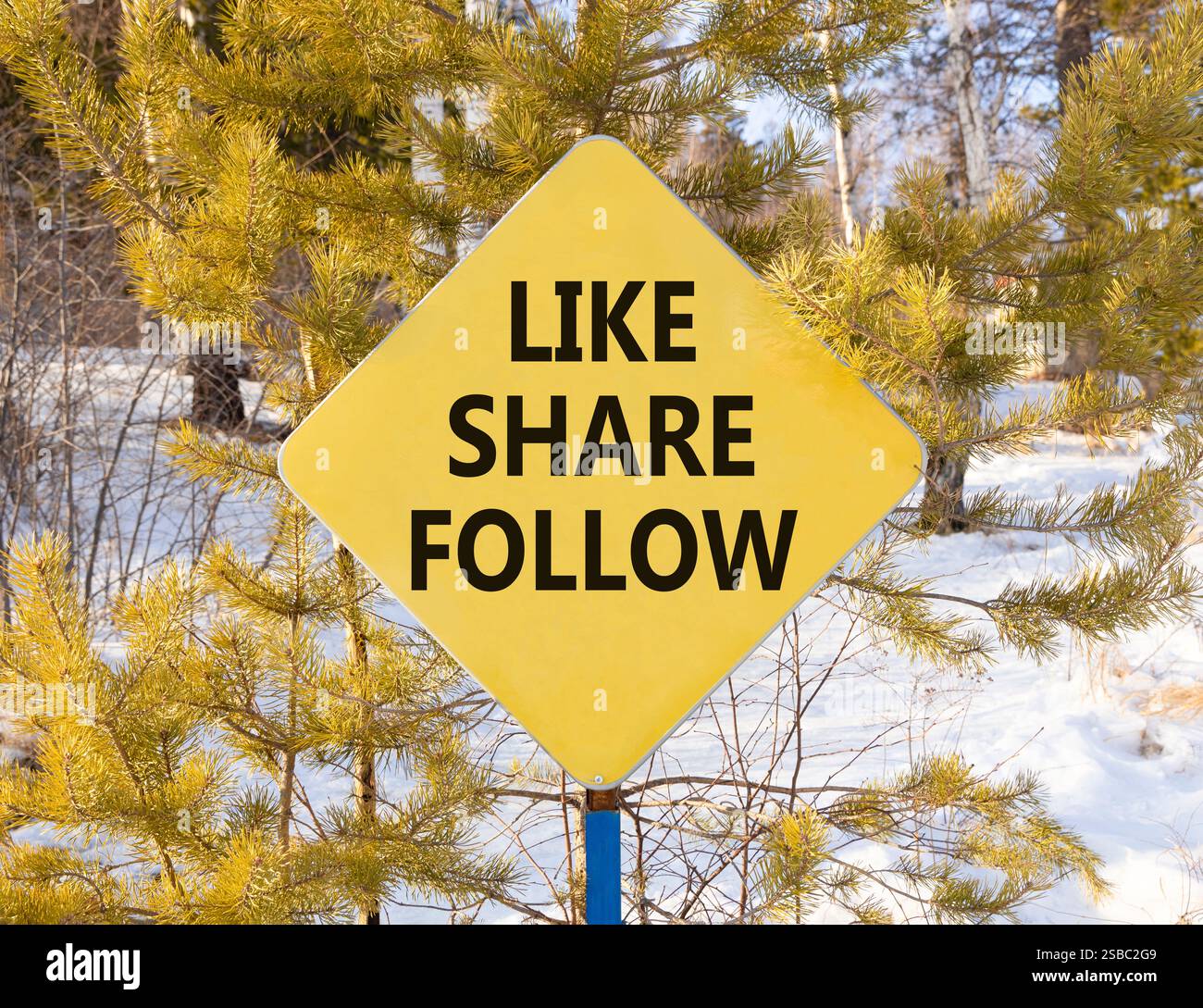 Like share follow symbol. Concept words Like Share Follow on beautiful ...