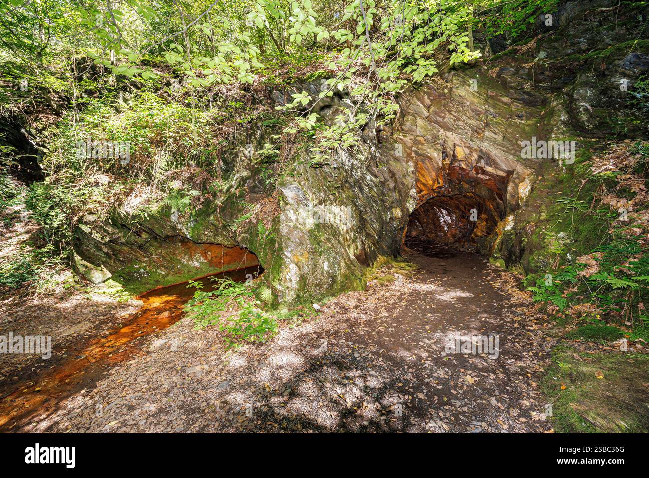 Slate mining remains in forest on the Ruisseau de Mohron stream valley ...